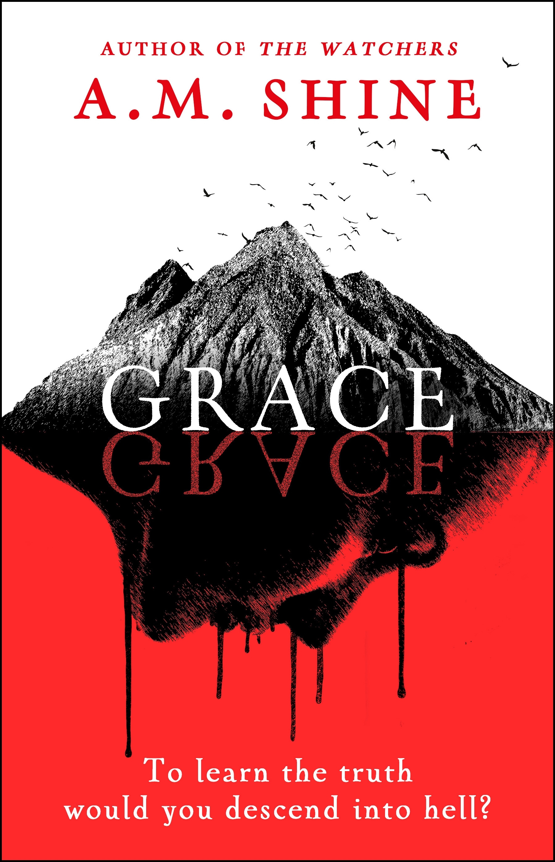 ‘Grace’ by AM Shine – Colin Garrow